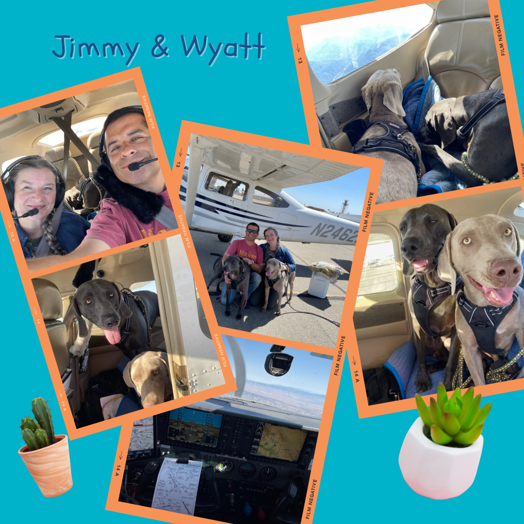 Plants With A Purpose - Rescuing Jimmy & Wyatt (Furballs Saved To Date ...
