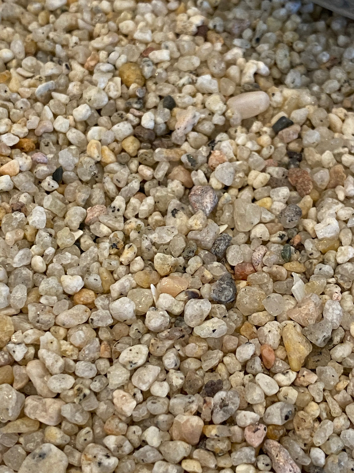 Criva Top Dressing | Partly Sunny Projects